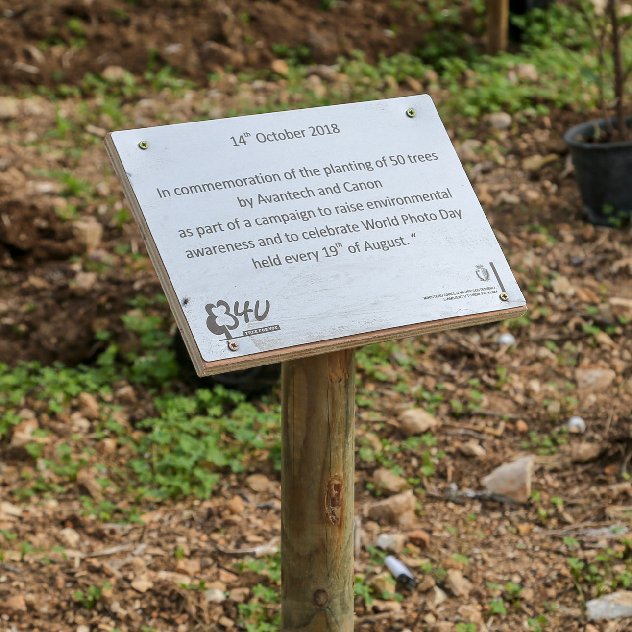 Avantech Software | Tree Planting event by Avantech and Canon ...